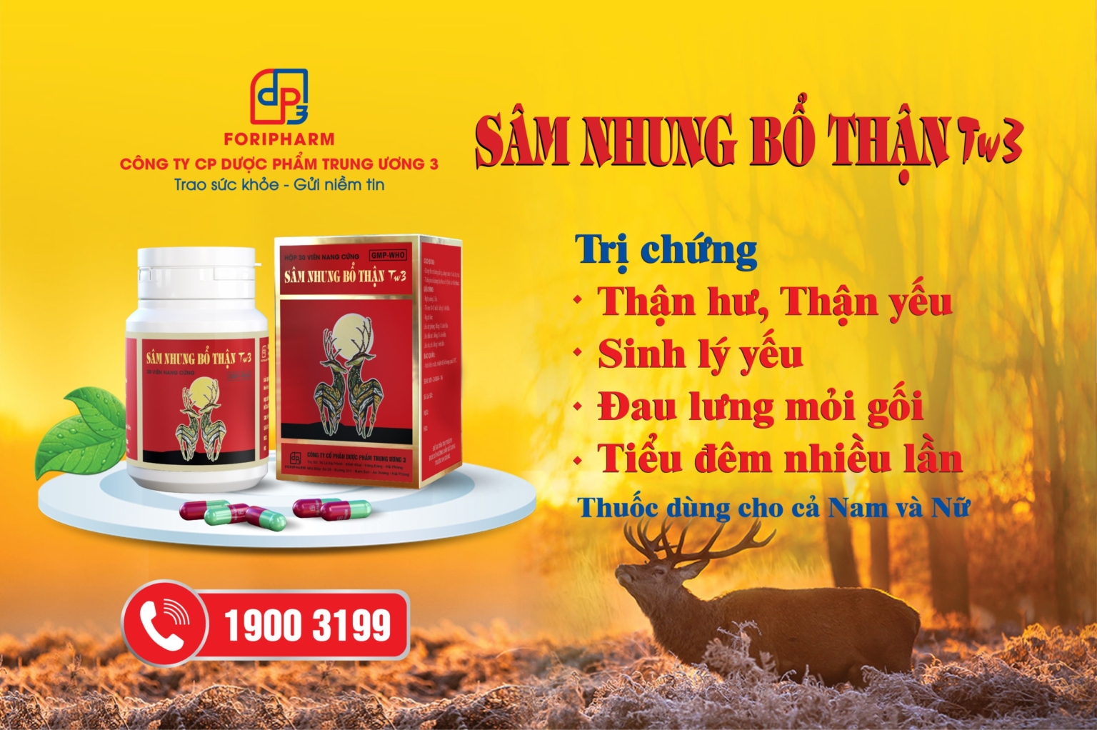 Bài thuốc Sâm nhung bổ thận chữa chứng thận hư thận yếu hiệu quả